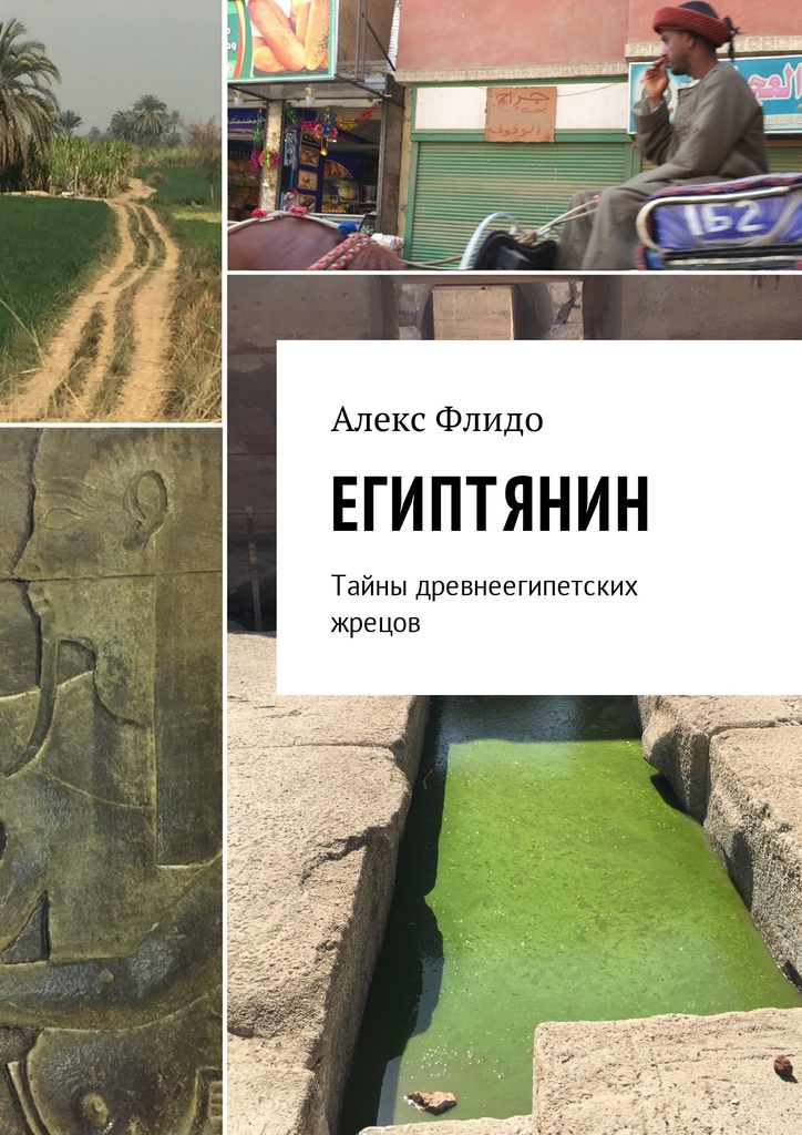 Книга "Египтянин" – купить книгу ISBN 978-5-4490-5258-2 с быстрой ...